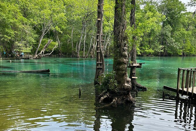 ECO adventure to Cypress Springs by Paddle Board or Kayak - Why This Tour Works Well