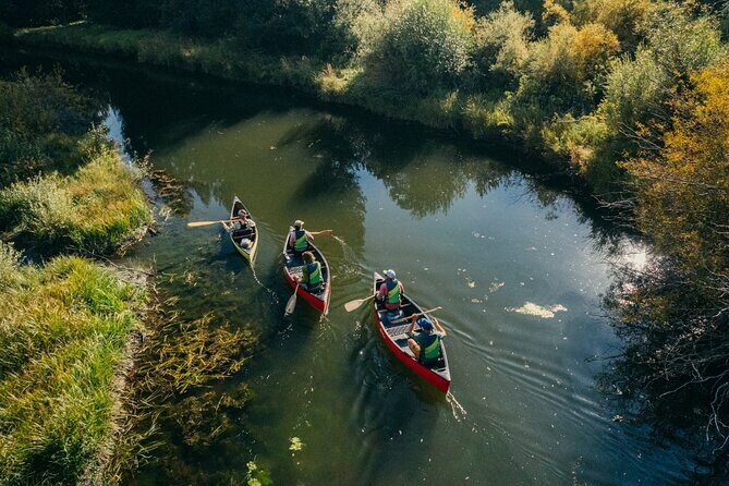 Eco Canoe Tour - Authentic Experiences from Past Participants