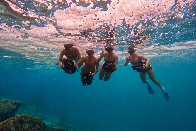 Eco Friendly Sea Scooter Turtle Tour in Rarotonga - The Experience in Detail