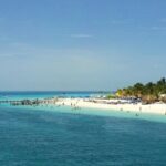 Eco Whale Shark Encounter - Practical Details: Logistics and Tips