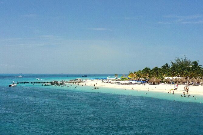 Eco Whale Shark Encounter - Practical Details: Logistics and Tips