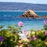 Eden: 2-Hour Highlights Tour, Nature, Beaches and Lookouts - An In-Depth Look at the Eden Highlights Tour