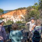 Eden: Panboola Wetlands and Potoroo Palace Tour with Lunch - What to Expect and Practical Details