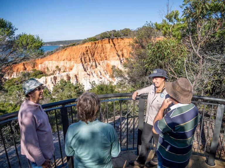 Eden: Panboola Wetlands and Potoroo Palace Tour with Lunch - What to Expect and Practical Details