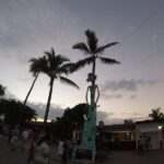 Educational and fun Private City tour- Puerto Vallarta - What’s Included and What’s Not