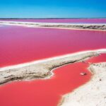 Ek Balam, Rio Lagartos and Las Coloradas Private Tour from Cancun - Real-World Insights from Reviewers