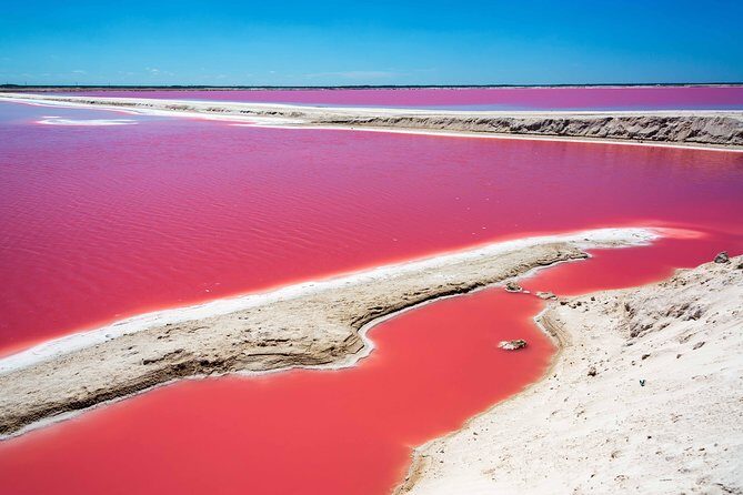 Ek Balam, Rio Lagartos and Las Coloradas Private Tour from Cancun - Real-World Insights from Reviewers