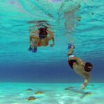 El cielo Cozumel From Cancún and round Transfer with Lunch - Who Is This Tour Perfect For?