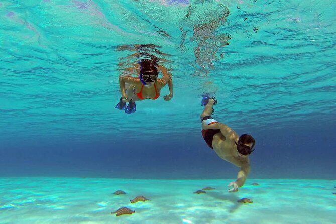 El cielo Cozumel From Cancún and round Transfer with Lunch - Who Is This Tour Perfect For?