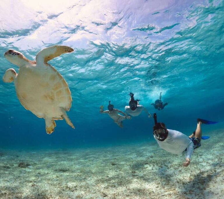 El Cielo Cozumel private snorkel tour - Authentic Experiences and Reviewer Insights