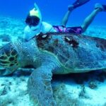 El Cielo Palancar and Columbia Snorkeling Tour - Practical Details and Tips