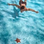 El Cielo Snorkeling Adventure in Cozumel - What’s Included and What to Budget For