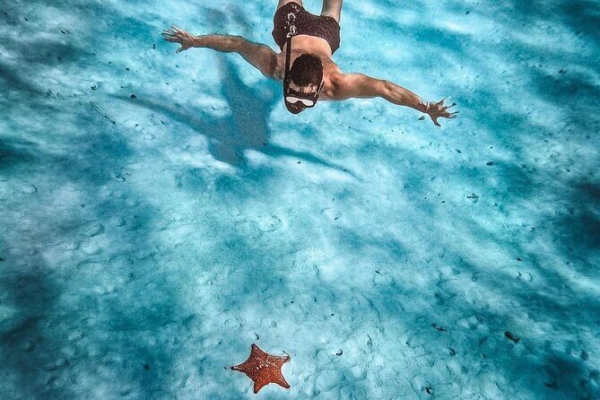 El Cielo Snorkeling Adventure in Cozumel - What’s Included and What to Budget For