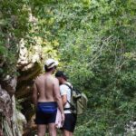 El Nogalito Mountain River- Hiking Tour - Practicalities and Logistics