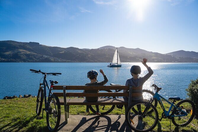 Electric Bike Rental - Authentic Insights from Reviewers