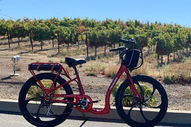 Electric Bike Rental in Livermore - The Scenic and Tasty Highlights