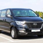 Electric Bike Rental Moorea - More About the Bikes and Service