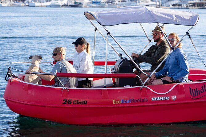 Electric boat Rentals in San Diego Bay. Family friendly boating - Value and Practical Considerations