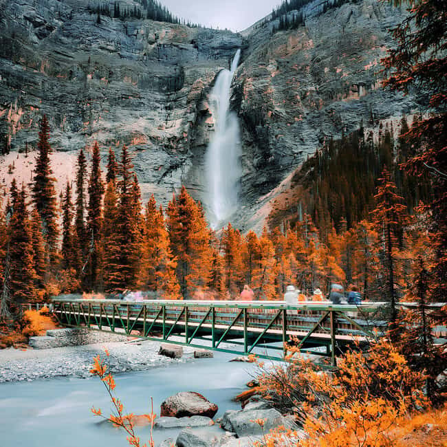Emerald Lake, Wapta Falls & Takakkaw Falls in Yoho - Unpacking the Experience: What You Can Expect