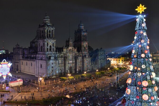 Enchanted Christmas Private Walking Tour in Mexico City - Practical details and what you can expect