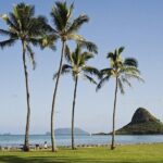 Enchanting Small Group Circle Island Tour Across Oahu Paradise - Who Will Love This Tour?