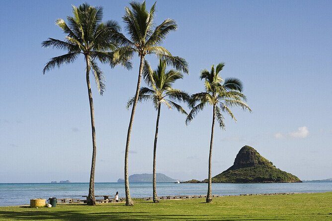 Enchanting Small Group Circle Island Tour Across Oahu Paradise - Who Will Love This Tour?