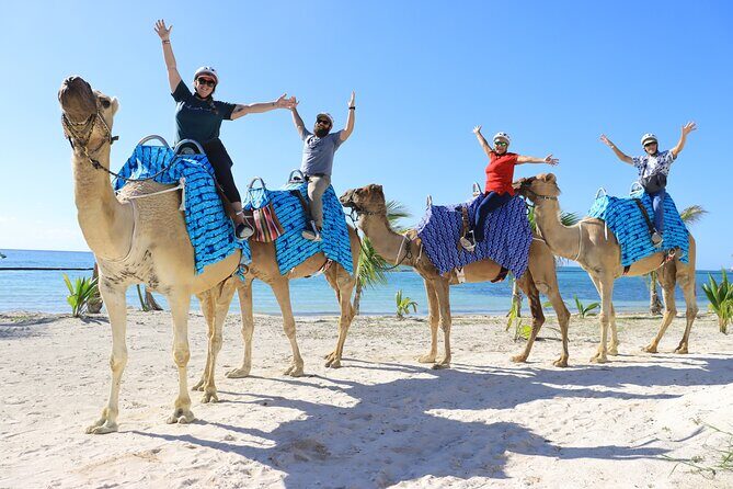 ENJOY UNIQUE CAMEL RIDE in Puerto Morelos with Transportation - FAQs