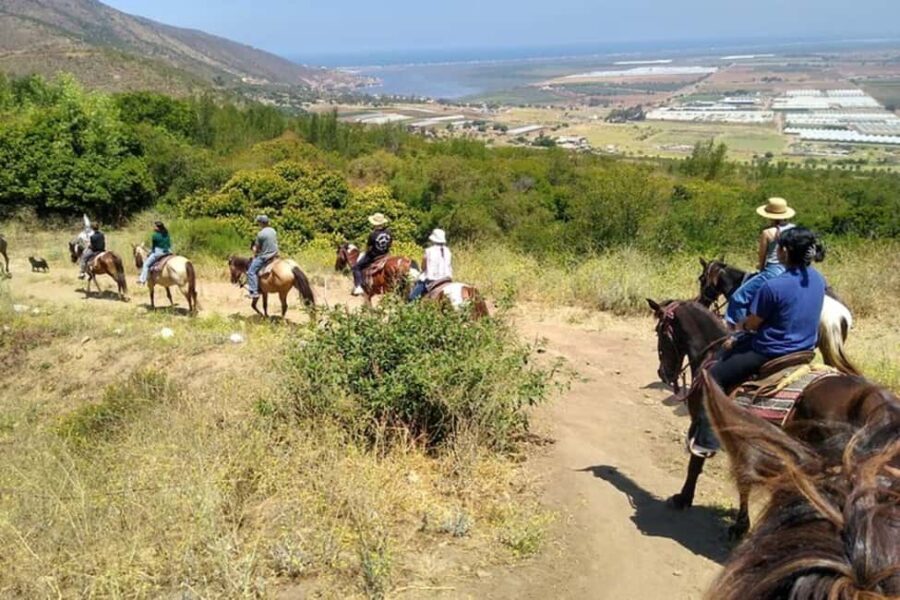 Ensenada: Bajas Hidden Trails: Horseback Ride w/ Ocean View - The Itinerary and What to Expect