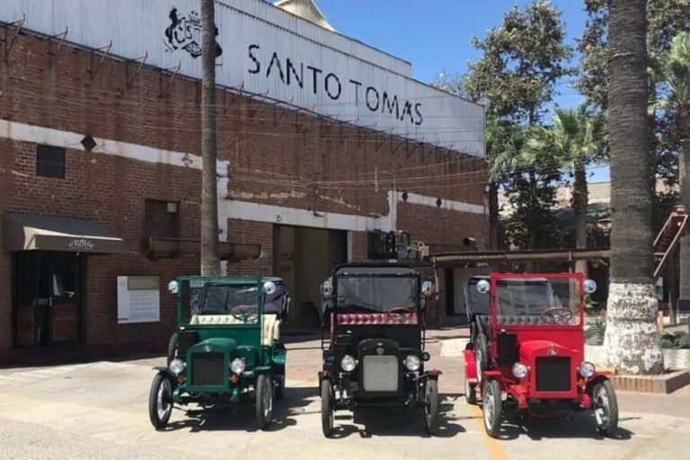 Ensenada: City Tour in a Ford Model T with Margarita & Wine - What To Expect: Practical Insights