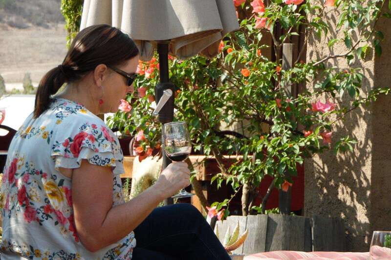 Ensenada: Guadalupe Valley Wine Route Private Tour - Exploring the Valle de Guadalupe Wine Route