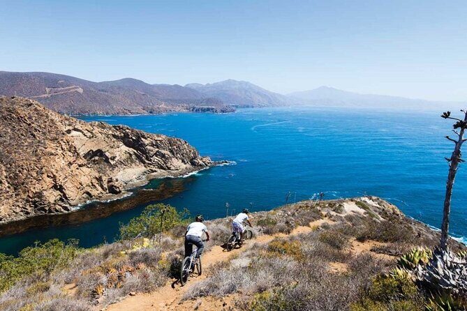 Ensenada, La Bufadora and Guadalupe Valley Private Guided Tour - Authentic Experiences and Tips