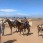 Ensenada: La Bufadora and Playa Hermosa Horseback Riding - Exploring Baja California’s Natural Marvel: La Bufadora