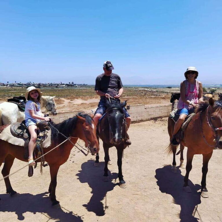 Ensenada: Punta Banda Horseback Riding Tour - Practical Tips for Booking and Enjoying the Tour