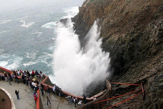 Ensenada Shore Excursion: Blowhole and La Bufadora Tour with Horseback Riding - Who Should Consider This Tour?