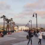 Ensenada Shore Excursion: Entre Santos and El Cielo Winery Tours with Lunch - The Itinerary in Detail