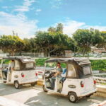 Ensenada: Street Gourmet Tour with Tacos and Drinks - The Authenticity and Experience