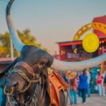 Entrance and transfer to the Texcoco International Horse Fair26 - Who Would Love This Tour?