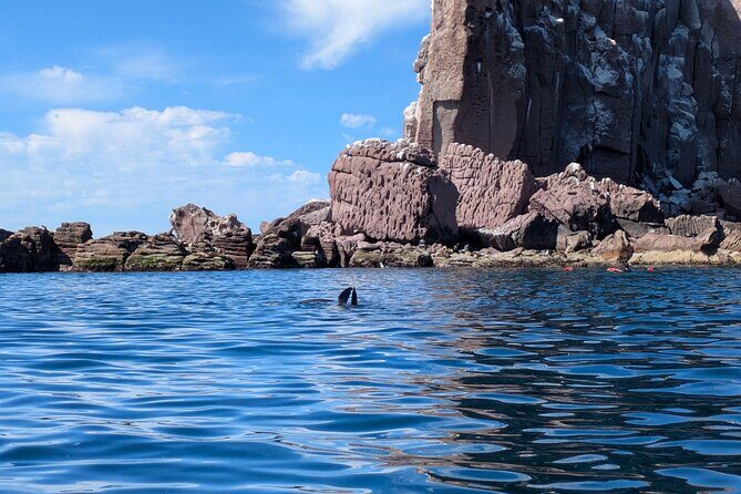 Espíritu Santo Adventure Private Tour - The Practicalities and What to Know