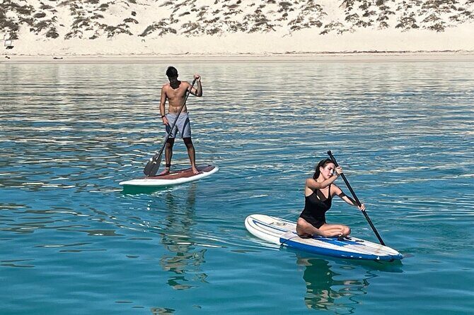 Espiritu Santo and Sealion Swimming aboard a luxury yacht - What’s Included and What’s Not