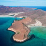 Espiritu Santo Island: Snorkeling Sea Lion Adventure - Snorkeling with Sea Lions at Los Islotes