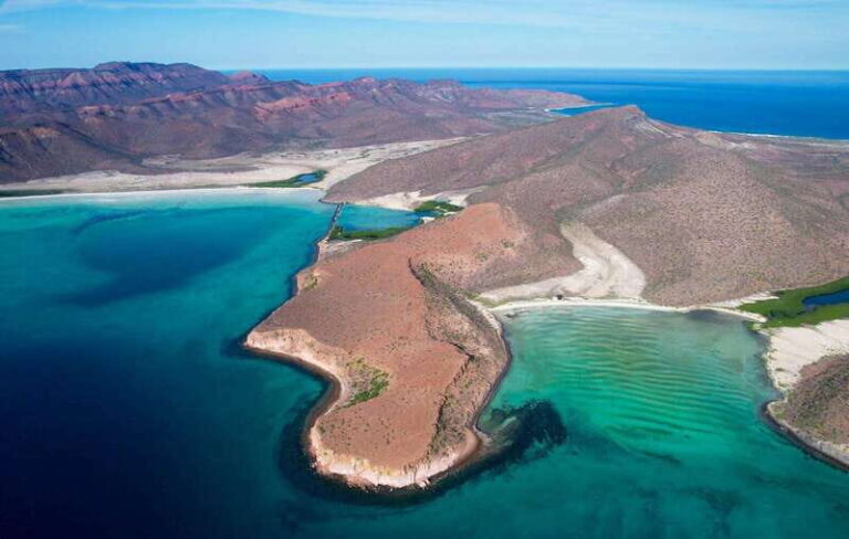 Espiritu Santo Island: Snorkeling Sea Lion Adventure - Snorkeling with Sea Lions at Los Islotes