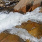 Estes Park: Waterfall Hiking Tour - Final Thoughts: Who Will Love This Tour?