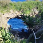 Eua Southside Adventure Day Tour - The Itinerary in Detail