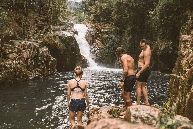 Eungella Platypus Tour - Final Thoughts