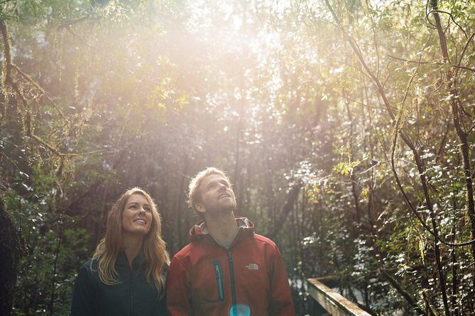 Evening Dinner Cruise - Who Will Love This Tour?