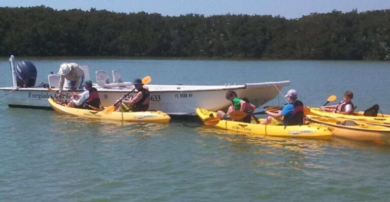 Everglades: Boat Assisted Kayak Eco Tour - The Value of This Tour