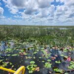 Everglades Eco Airboat Tour small group & top transportation - Practical Tips for Your Tour Experience