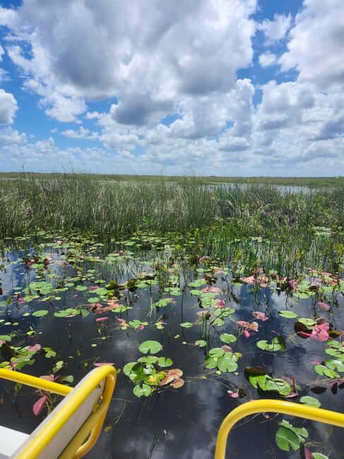 Everglades Eco Airboat Tour small group & top transportation - Practical Tips for Your Tour Experience