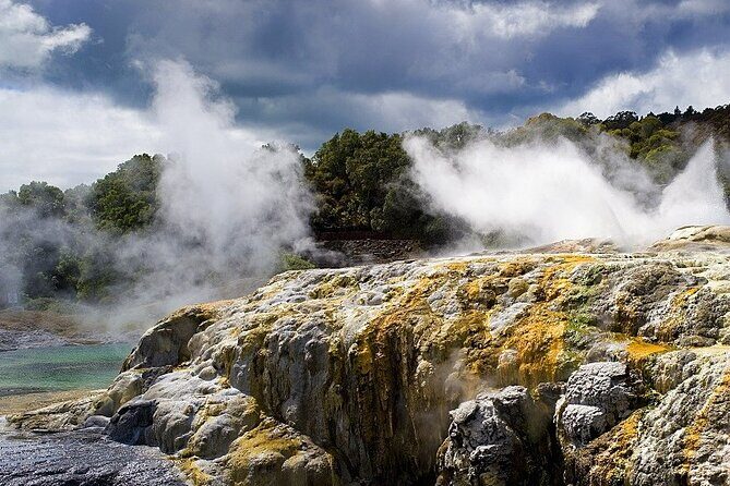 Ex Auckland: Rotorua Mori Village with Haka and Hot Springs - Who Will Love This Tour?