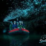 Ex Auckland Spellbound Glowworm & Cave Explorer Private Tour - What Makes This Tour Stand Out?